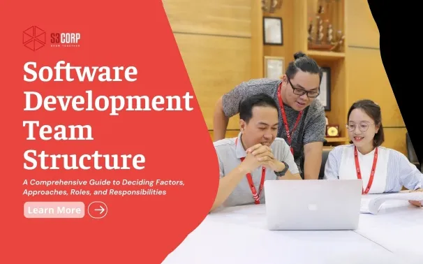 Understanding Software Development Team Structure: Insights From S3Corp.